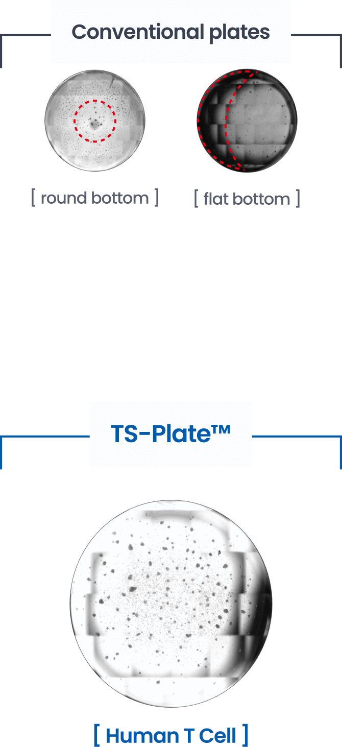 Rnd-product-motion – TCUBEit